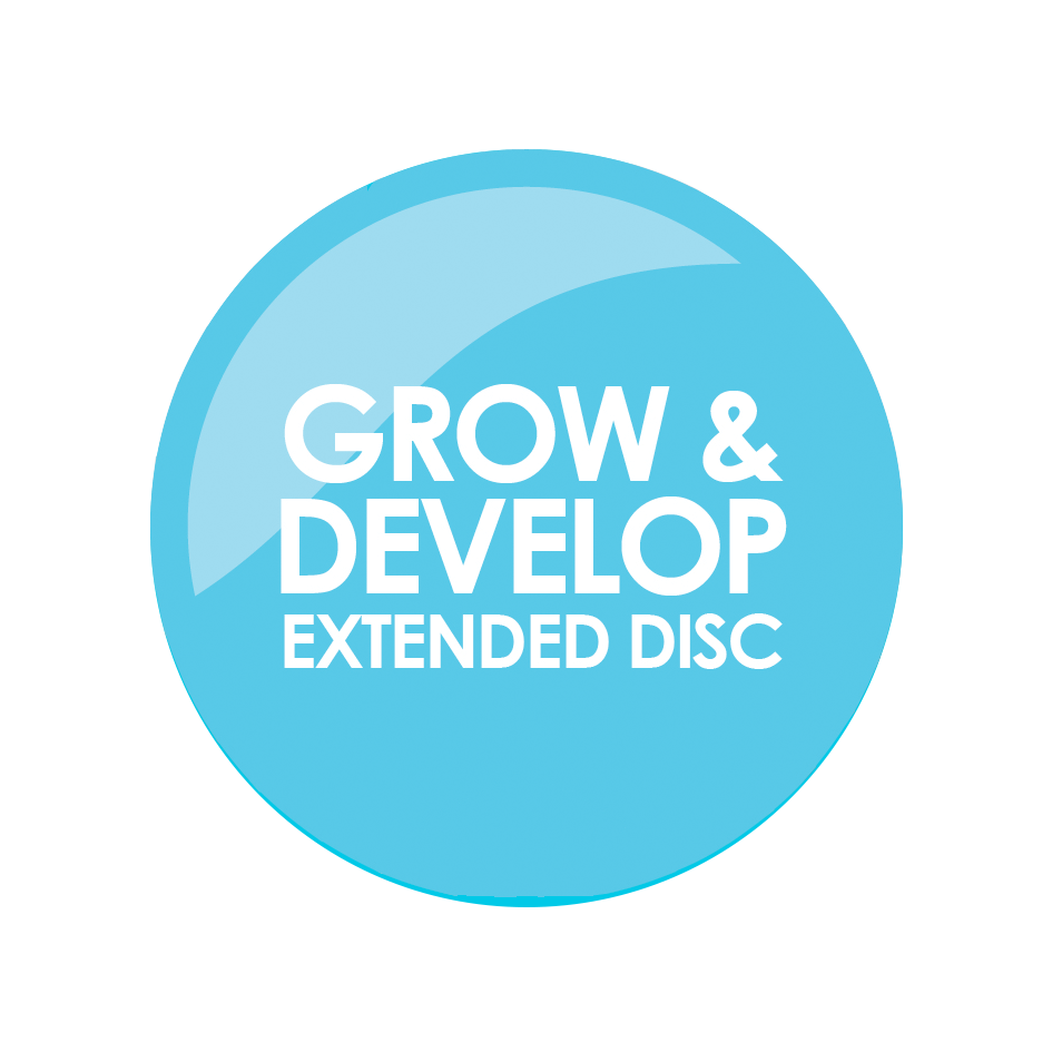 Extended DISC® Advanced Accreditation – Level 2 Training